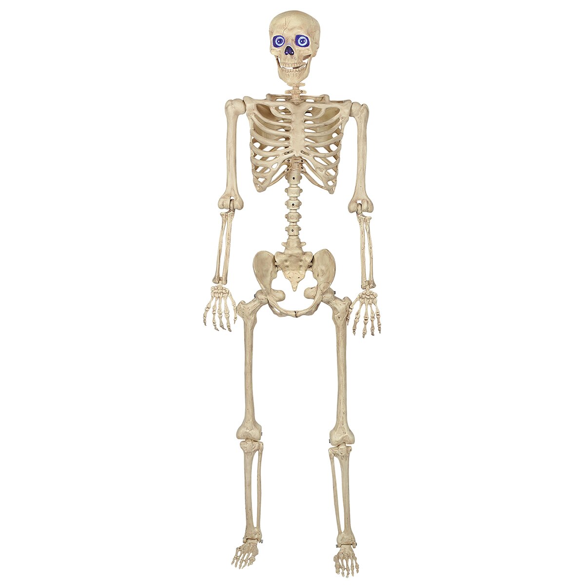 Skeleton with LED Morphing Eyes Halloween Decoration | Costco Australia
